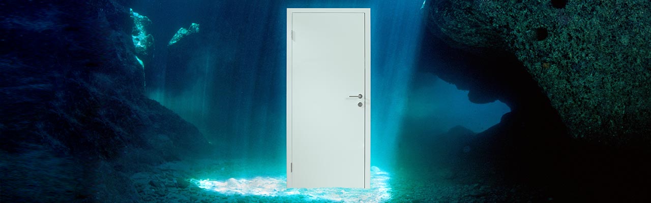 Benefits of LAMI Encapsulated Doors | High-quality Hygienic GRP Doors ...
